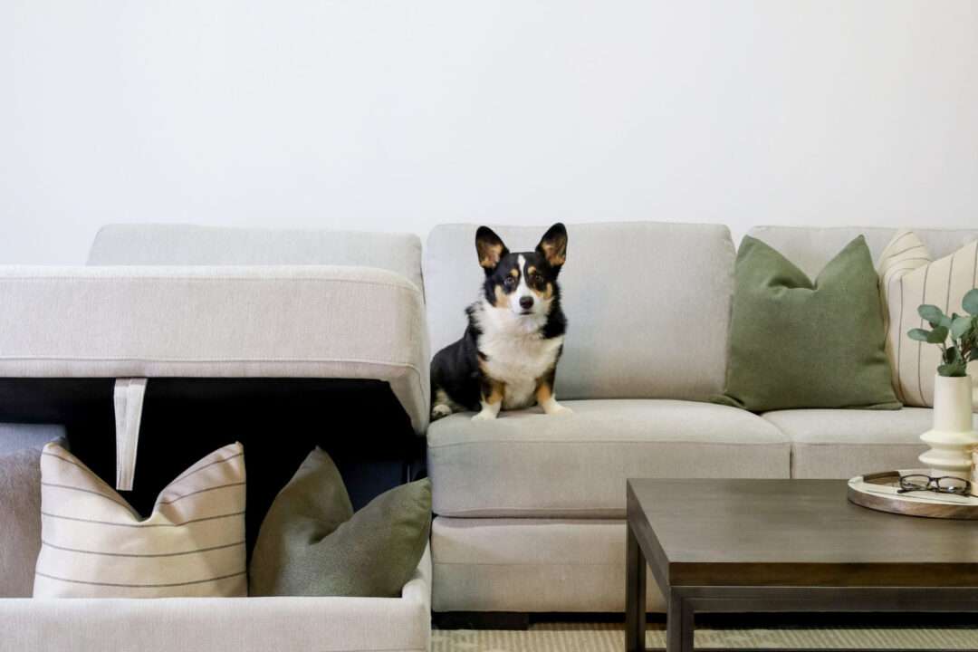 Sofa Bed Solutions with Q Living Furniture