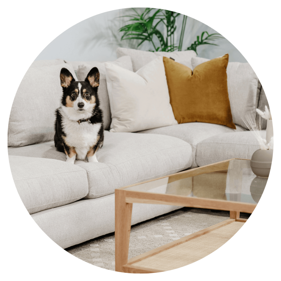 Q Living Furniture - Your Local Furniture Store - British Columbia